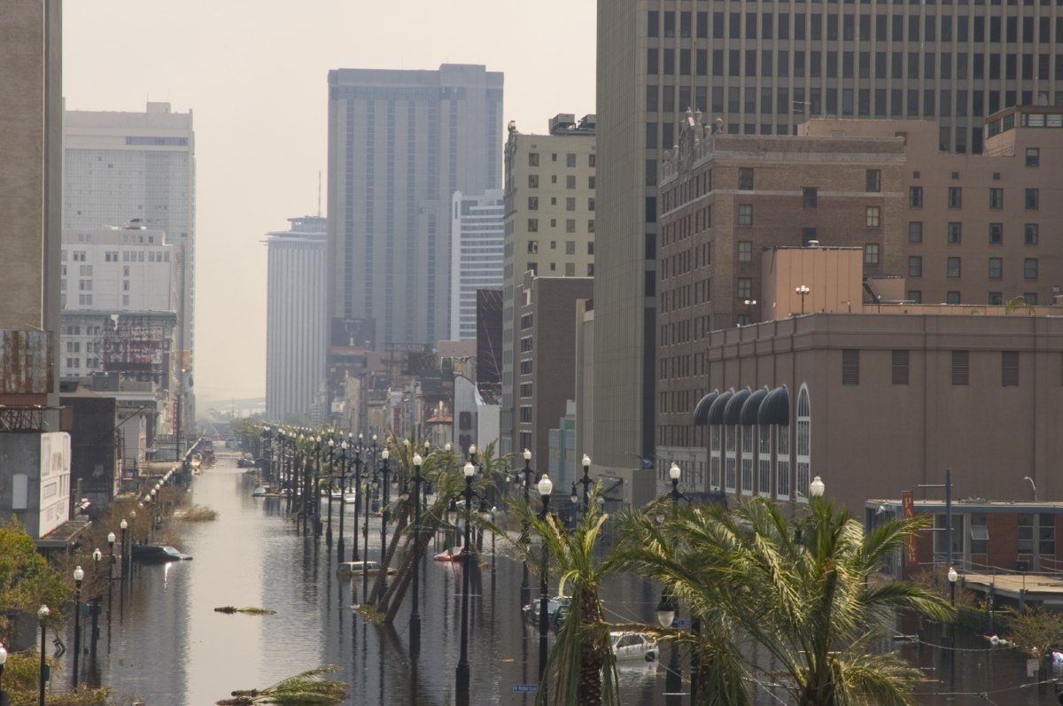 lsgclaims – Consulting